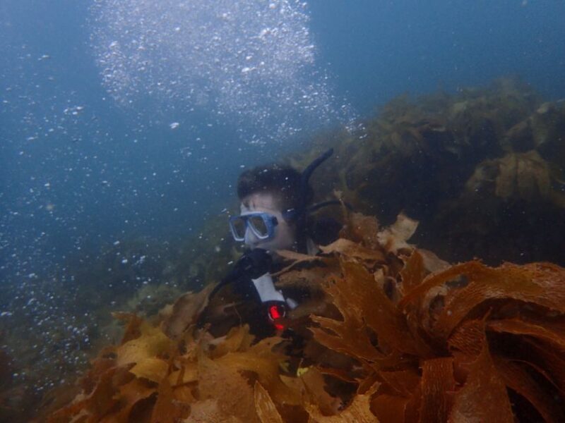 Guided Shore Dive Tour for Certified Diver - The Full Experience: What to Expect From Your Goat Island Shore Dive