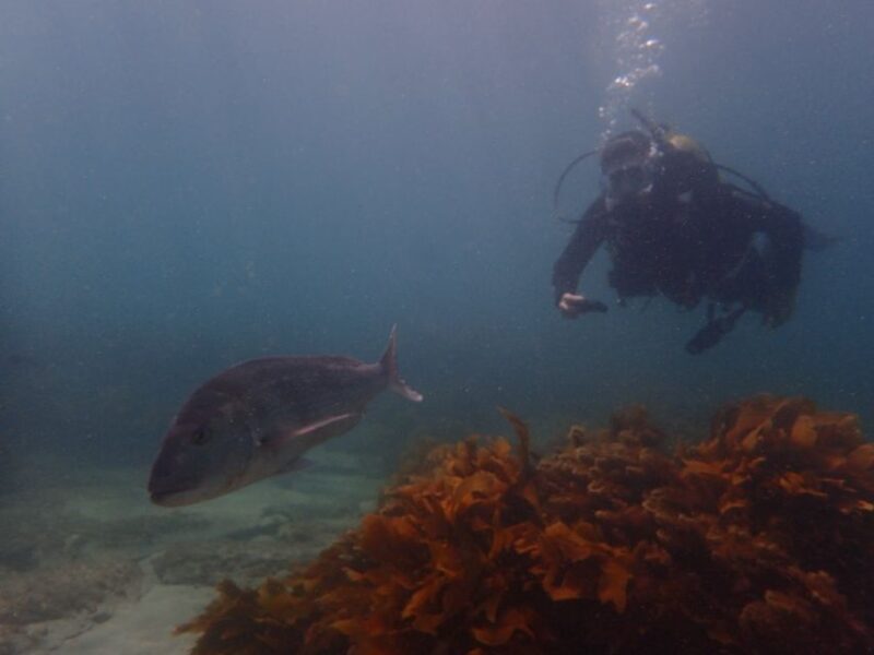 Guided Shore Dive Tour for Certified Diver - Final Thoughts