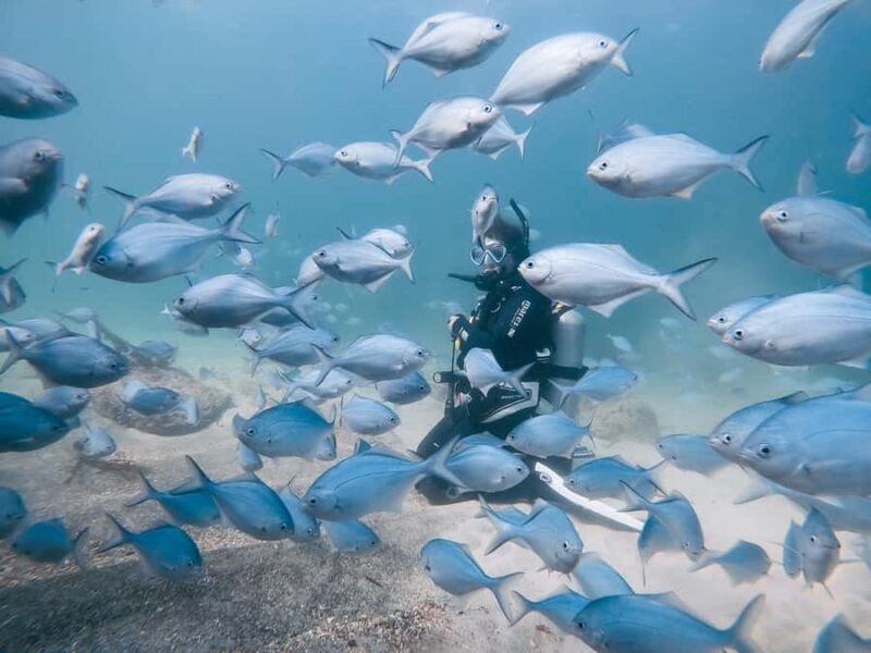 Guided Shore Dive Tour for Certified Divers - An In-depth Look at the Tour Experience