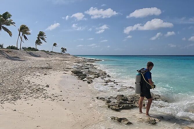 guided Shore Diving in Bonaire Marine Park with 2 Dives - Final Thoughts: Who Will Love This Experience?