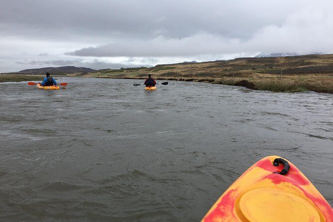 Guided Sit on Top Kayak Tour - An In-Depth Look at the Guided Kayak Experience