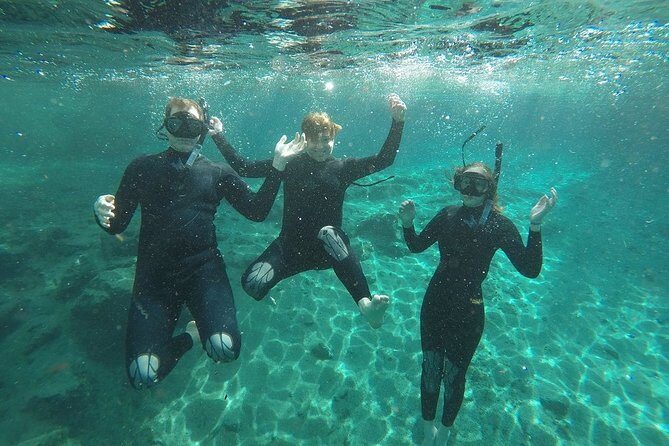 Guided Small Group Manatee Snorkeling Tour with In-Water Photographer - Key Points