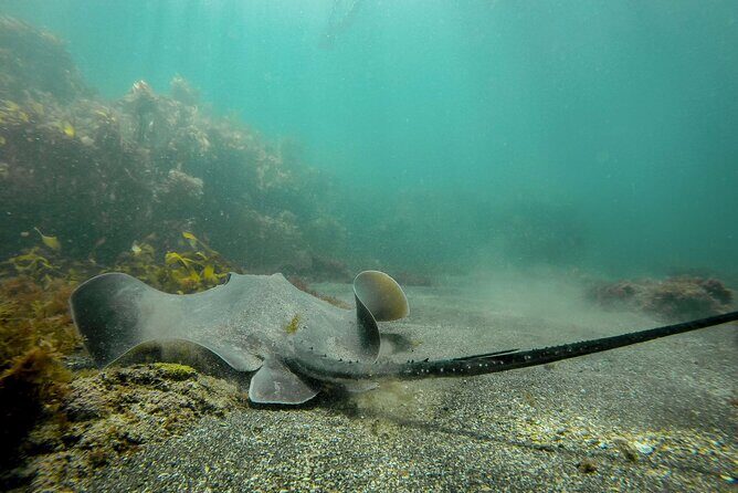 Guided Snorkel Experience, Advanced - The Itinerary in Detail: What to Expect