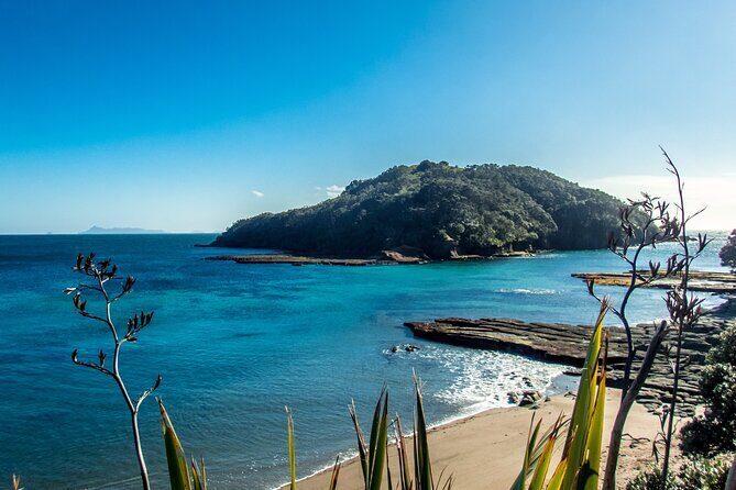 Guided Snorkel Experience, Advanced - Who Should Consider This Tour?