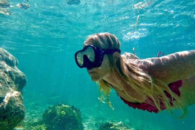 Guided Snorkel Experience, Free Videos in West Palm Beach - The Experience in Detail
