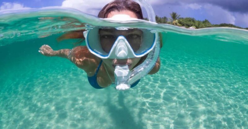 Guided Snorkel in Barcelona Beach - The Real Value of the Tour