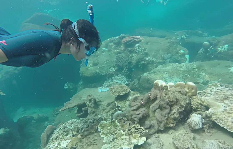 Guided snorkel in Cambrils with explanation of the marine environment. - Who Will Love This Experience?