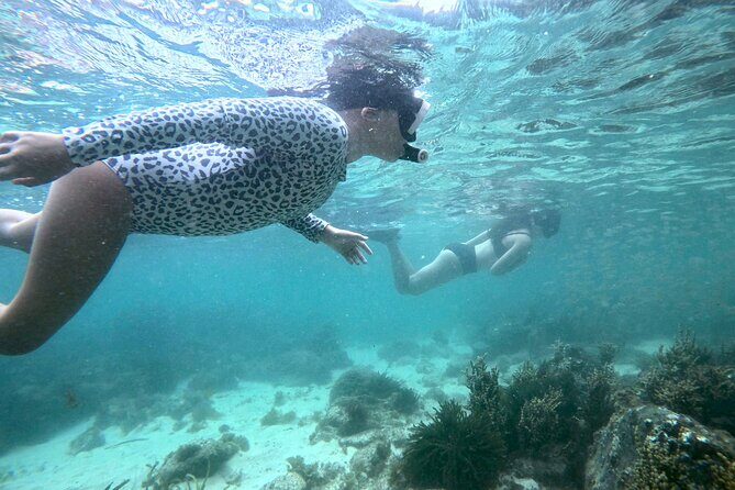Guided Snorkel Tour - Key Points