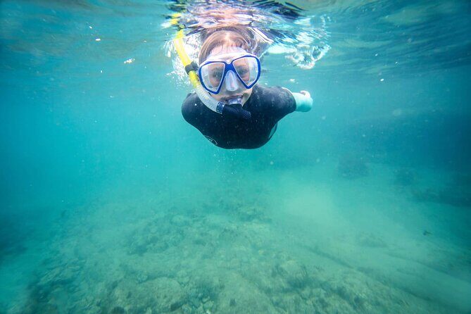 Guided Snorkeling and Island Exploration in Auckland - What This Tour Offers: A Well-Balanced Adventure in Nature