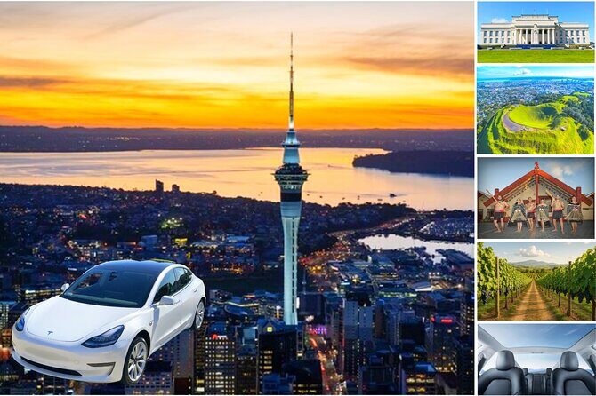 Guided Snorkeling and Island Exploration in Auckland - Who Will Love This Tour