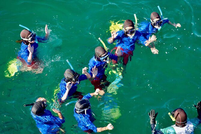 Guided Snorkeling and Island Exploration in Auckland - Final Thoughts: Is It Worth It?