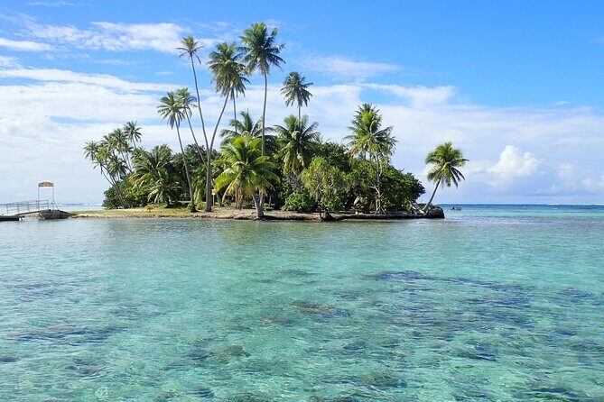 Guided Snorkeling and Relaxation on the Motu Ofetaro in Raiatea - Introduction