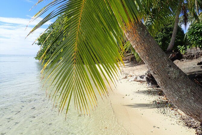 Guided Snorkeling and Relaxation on the Motu Ofetaro in Raiatea - Who Should Consider This Tour?