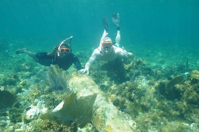 Guided Snorkeling at the Anchor and Cannon Reef in Negril - The Value of This Tour