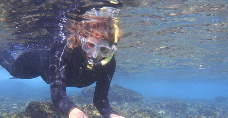 Guided Snorkeling Experience - Accessibility, Cost, and Value