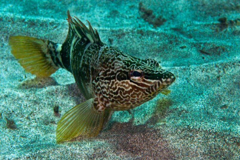 Guided Snorkeling Experience - Who Should Consider This Tour?