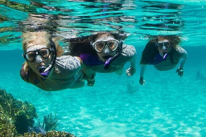 Guided Snorkeling Experience in Bondi - An In-Depth Look at the Bondi Snorkeling Tour