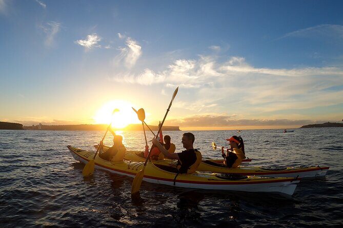 Guided Snorkeling Experience in Bondi - FAQ Section