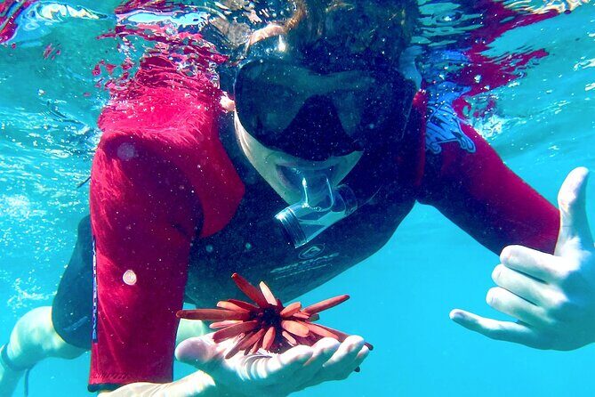Guided Snorkeling for Beginners with Flotation Wetsuit - Key Points