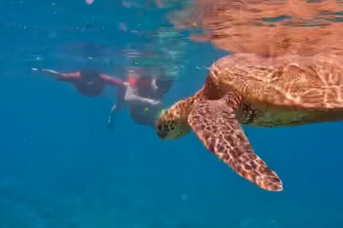 Guided Snorkeling for Beginners with Flotation Wetsuit - Final Thoughts