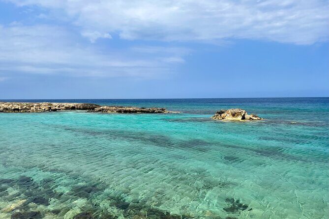 Guided snorkeling trip to the turtles in Protaras - What to Expect from the Tour