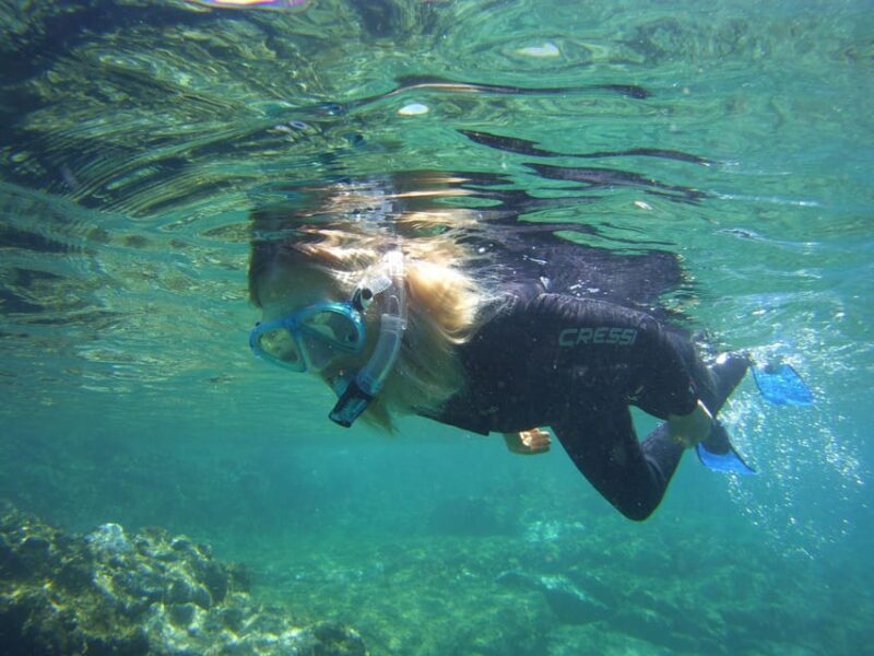 Guided Snorkelling experience in south of Gran Canaria - An In-Depth Look at the Experience