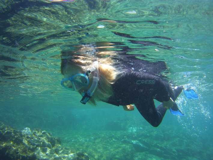 Guided Snorkelling experience in south of Gran Canaria - Practical Tips for Participants