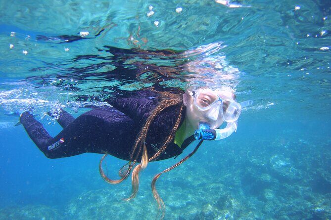 Guided Snorkelling Experience in South of Gran Canaria - Introducing the Guided Snorkelling Experience in South of Gran Canaria