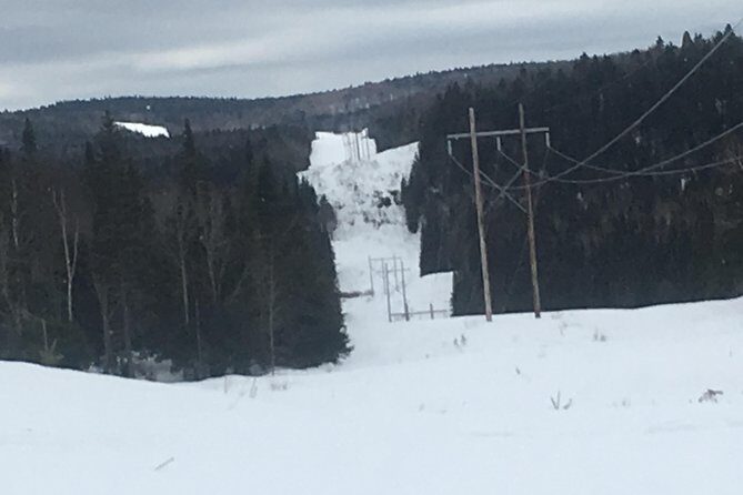 Guided Snowmobile Tours - Authentic Feedback from Participants