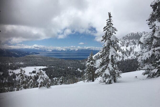 Guided Snowshoe Experience in Lake Tahoe - Price and Value Analysis