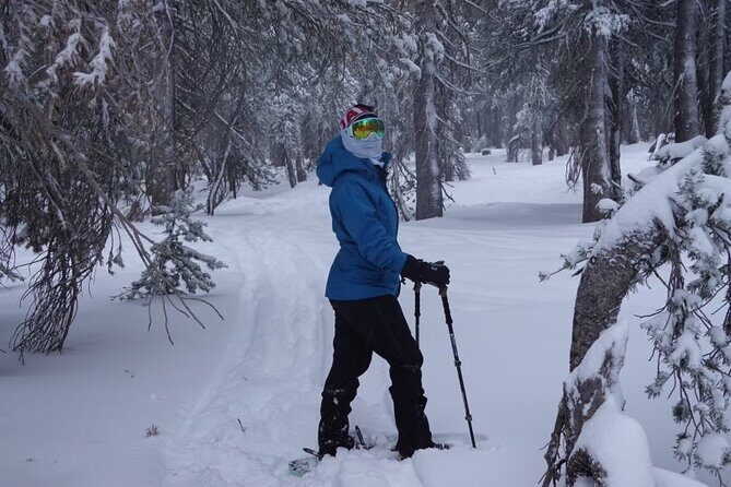 Guided Snowshoe Experience in Lake Tahoe - Who Will Love This Tour?