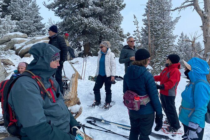Guided Snowshoe Experience in Lake Tahoe - The Sum Up