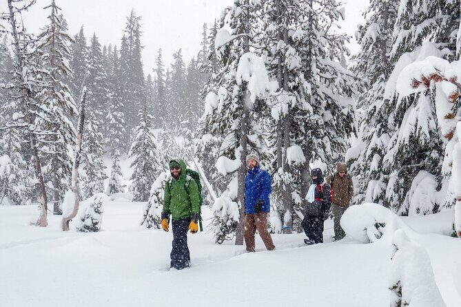 Guided Snowshoe Tour in Bend, Oregon - Why We Like This Tour