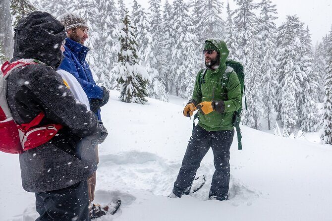 Guided Snowshoe Tour in Bend, Oregon - What Past Travelers Say