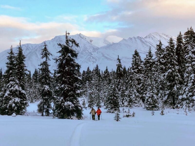 Guided Snowshoeing Adventure from Seward, Alaska - An In-Depth Look at the Snowshoeing Experience in Seward