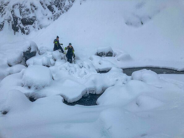 Guided Snowshoeing Adventure in Seward, Alaska - Who Should Consider This Tour?