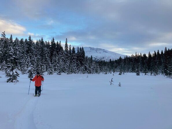 Guided Snowshoeing Adventure in Seward, Alaska - The Sum Up