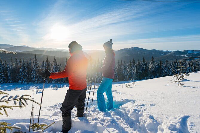 Guided Snowshoeing Adventure in the Boreal Forest - Key Points