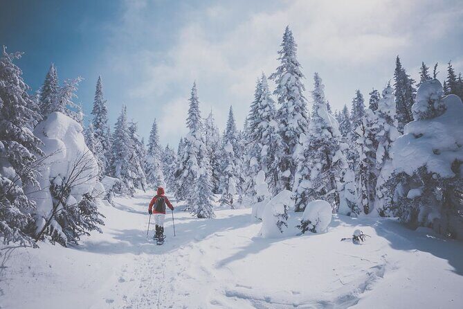 Guided Snowshoeing Adventure in the Boreal Forest - Detailed Itinerary Breakdown
