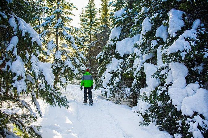 Guided Snowshoeing Adventure in the Boreal Forest - Logistics and Practicalities