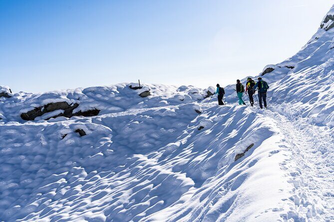 Guided Snowshoeing Day to Discover the Dolomites - Key Points