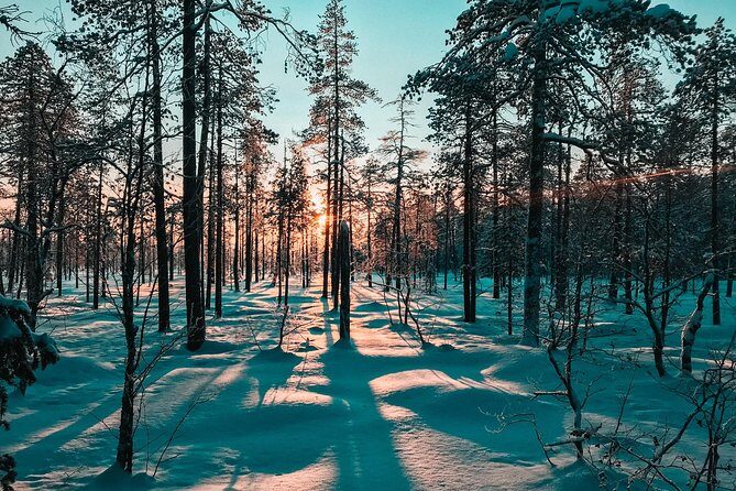 Guided Snowshoeing Tour In Pyhätunturi - Setting the Scene: What Is This Tour About?