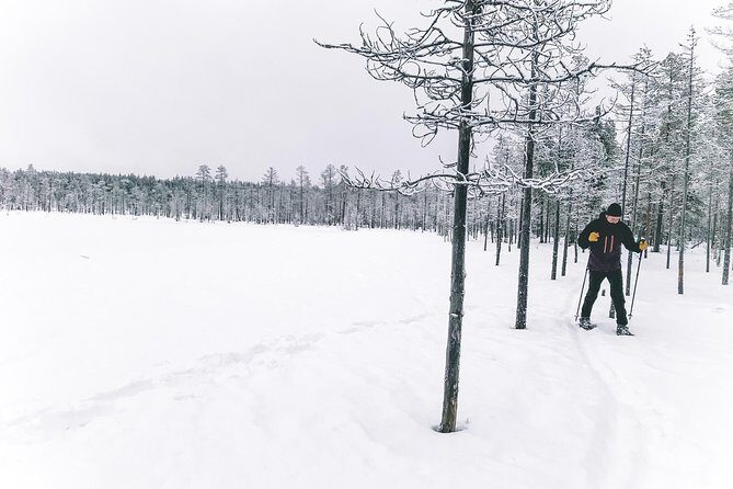 Guided Snowshoeing Tour In Pyhätunturi - The Importance of Weather