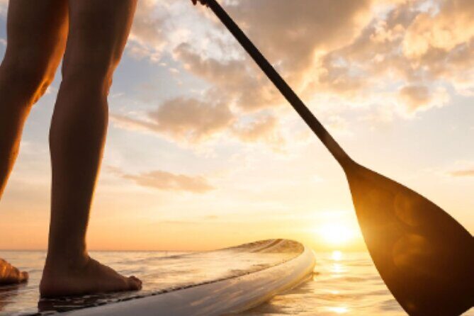 Guided Stand Up Paddleboard Tour from Elysian - Key Points