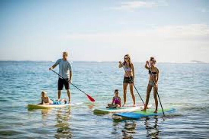 Guided Stand Up Paddleboard Tour from Margaritaville - The Experience: What You Might Expect