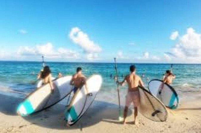 Guided Stand Up Paddleboard Tour from Margaritaville - Price and Value