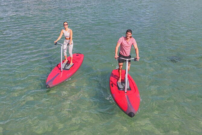 Guided Step-Up Paddle Board Tour of Narrabeen Lagoon - What to Expect During the Tour