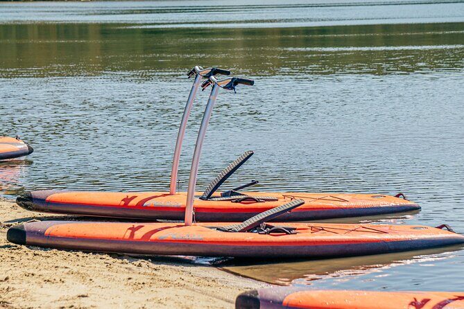 Guided Step-Up Paddle Board Tour of Narrabeen Lagoon - Analyzing the Value