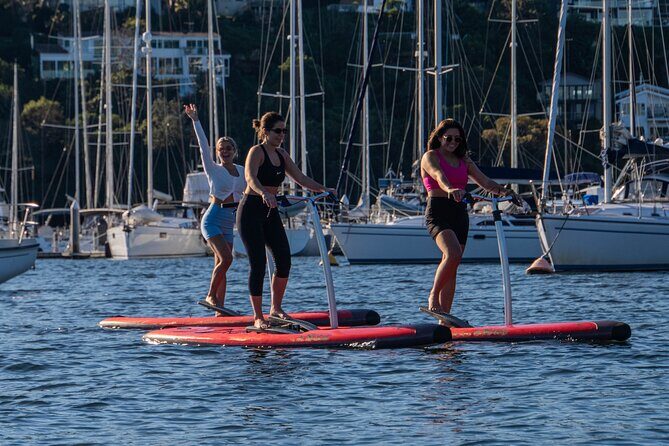 Guided Step-Up Paddle Board Tour of Narrabeen Lagoon - Who Will Love This Tour?
