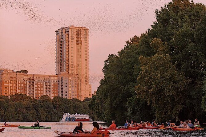 Guided Sunset Bat Kayak Tour in Austin - A Close Look at the Experience